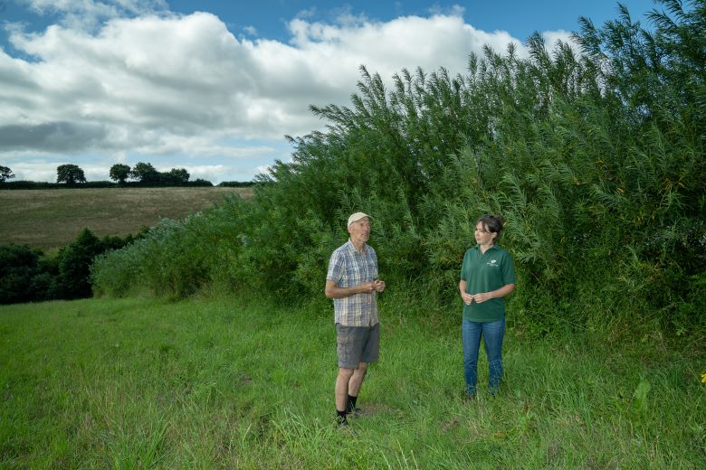 Agroforestry - Why the Woodland Trust believes trees on farms are a ...